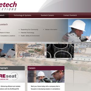 Suretech Completions – Calgary Alberta Canadian Fine Artist | Creative Director | Senior ...